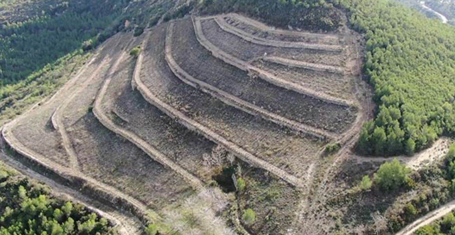 51 – Parc del Garraf: projecte STONEWALLSFORLIFE – ASSOCIACIÓ PER LA ...